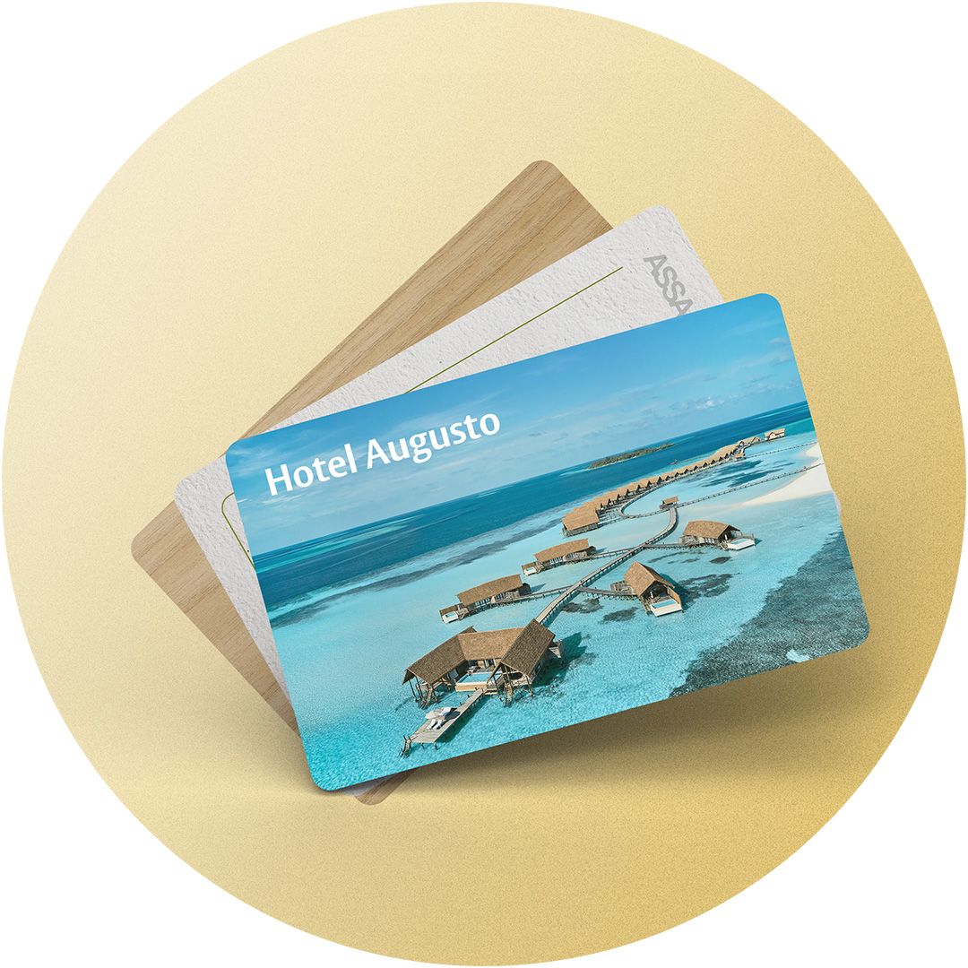 Vingcard C100 | Vingcard